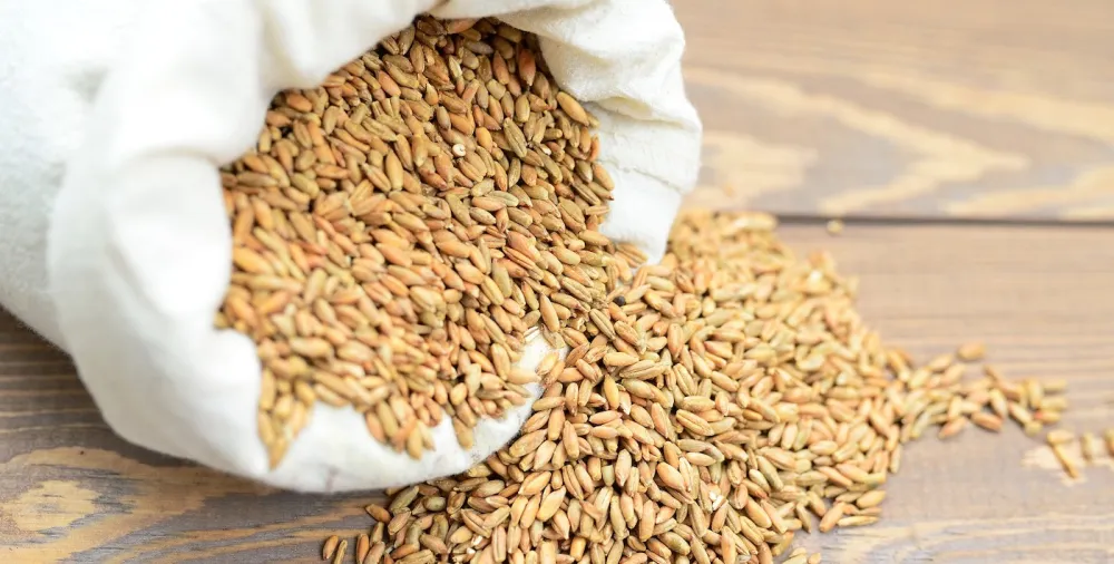 Baking with Ancient Grains | Institute of Culinary Education